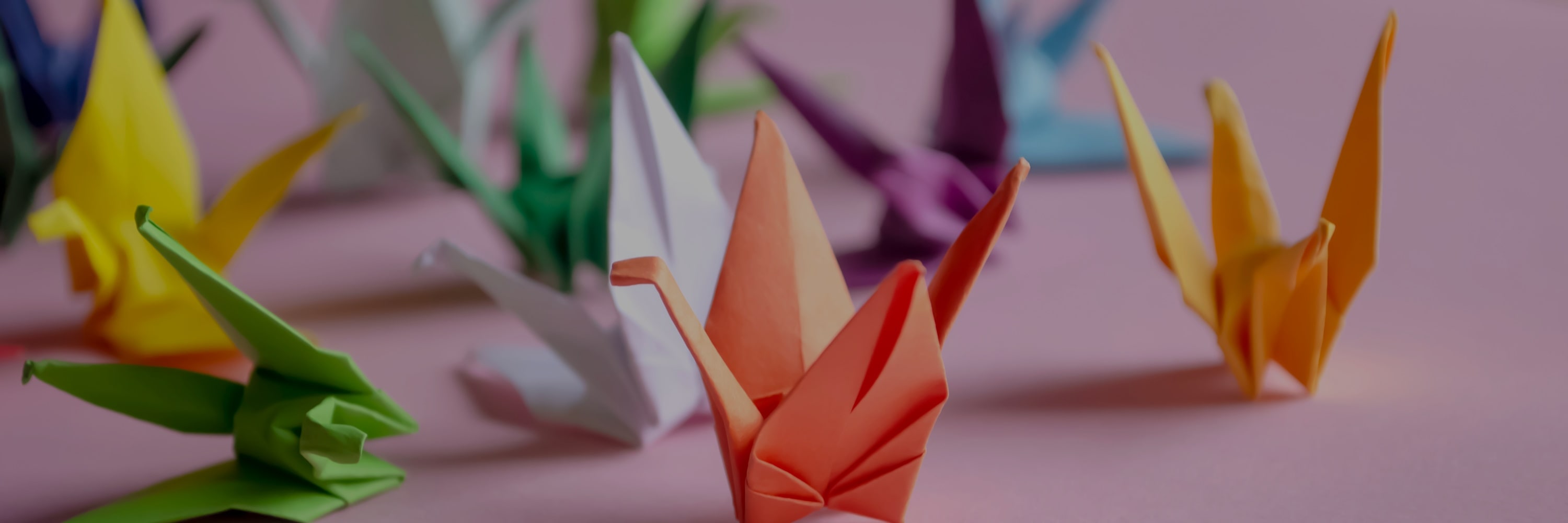 NAEM Virtual Learning Pass